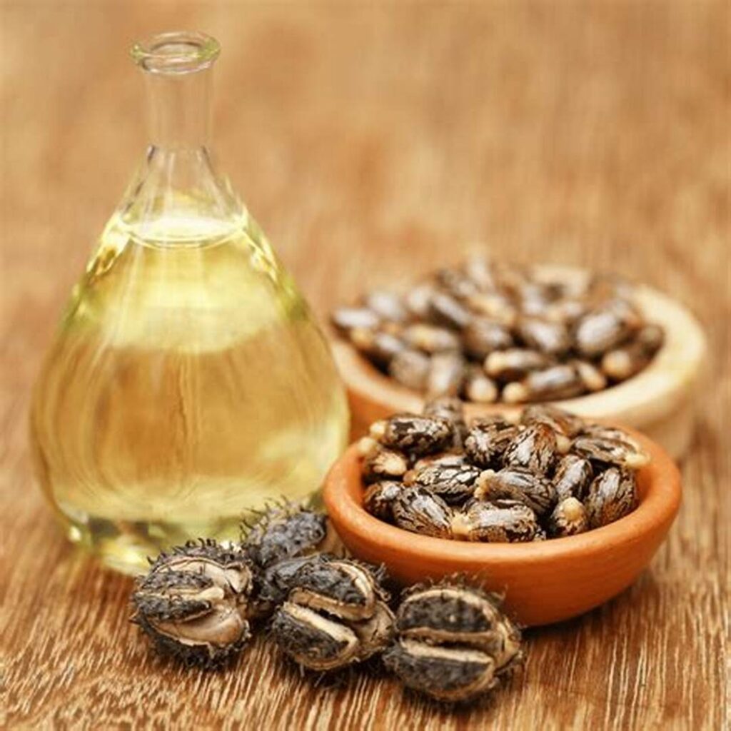Castor Oil | Dédayọ̀ Roots